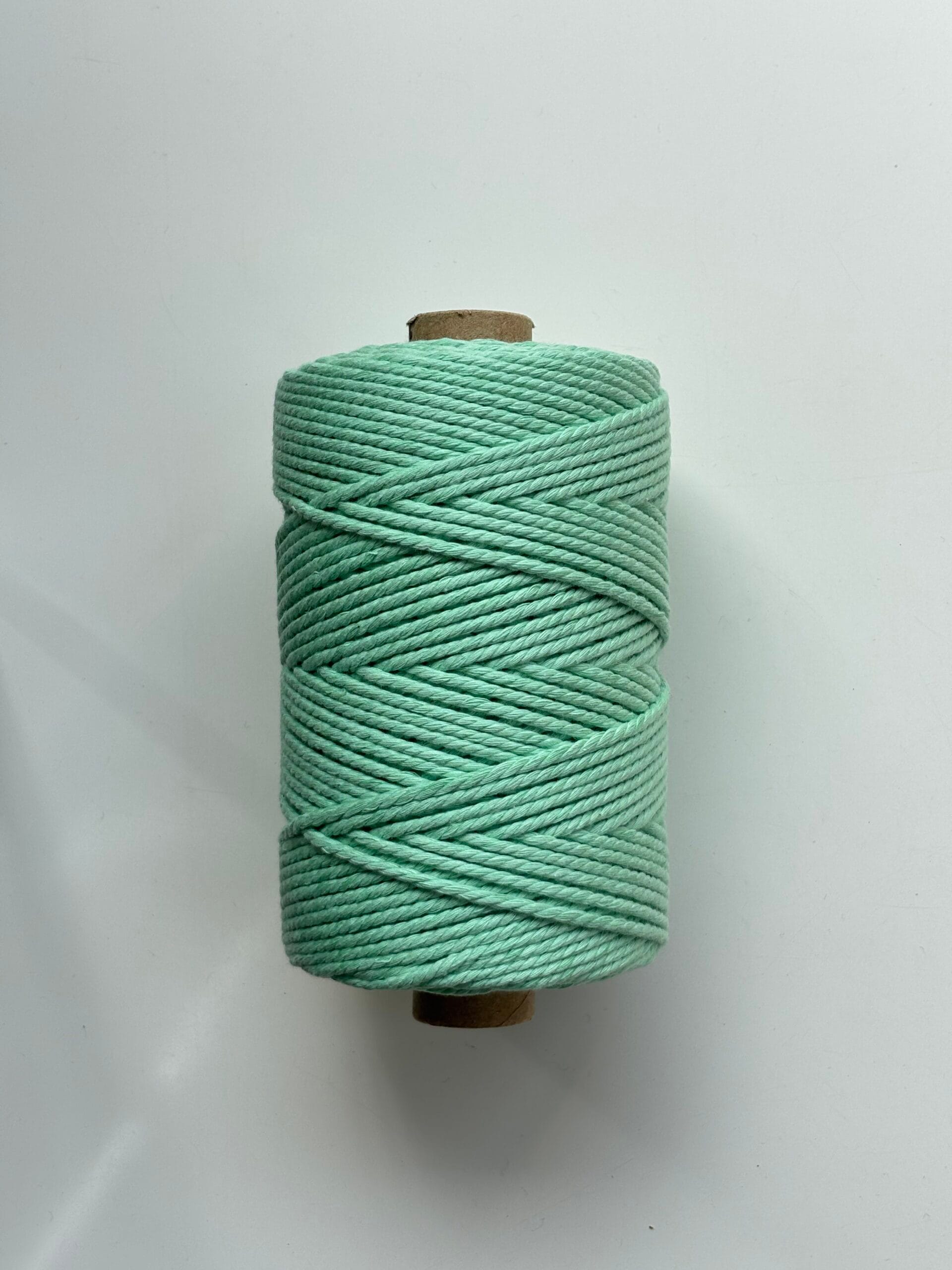 Mint Green 4mm Twisted | Macrame Cord | Rutu - Macrame Cords
